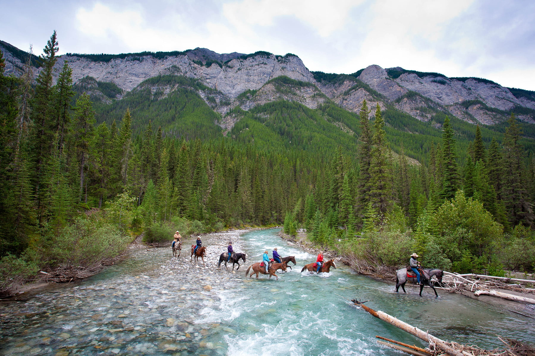 Horseback riding in Banff (on Spray River Loop). 159. - PURE International